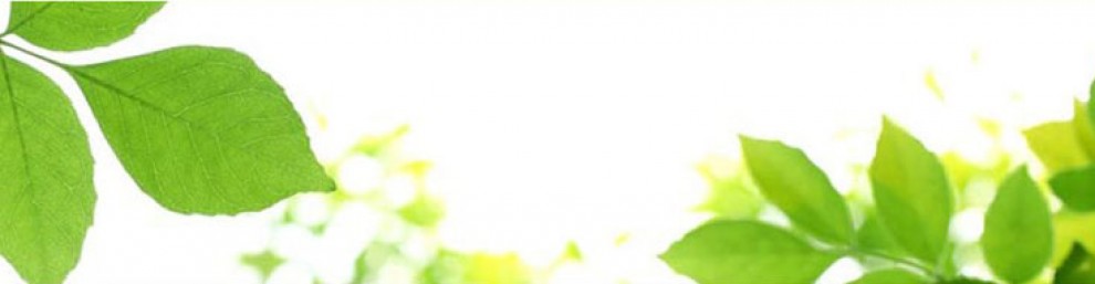 cropped-leaves_ | TREE MEDIC